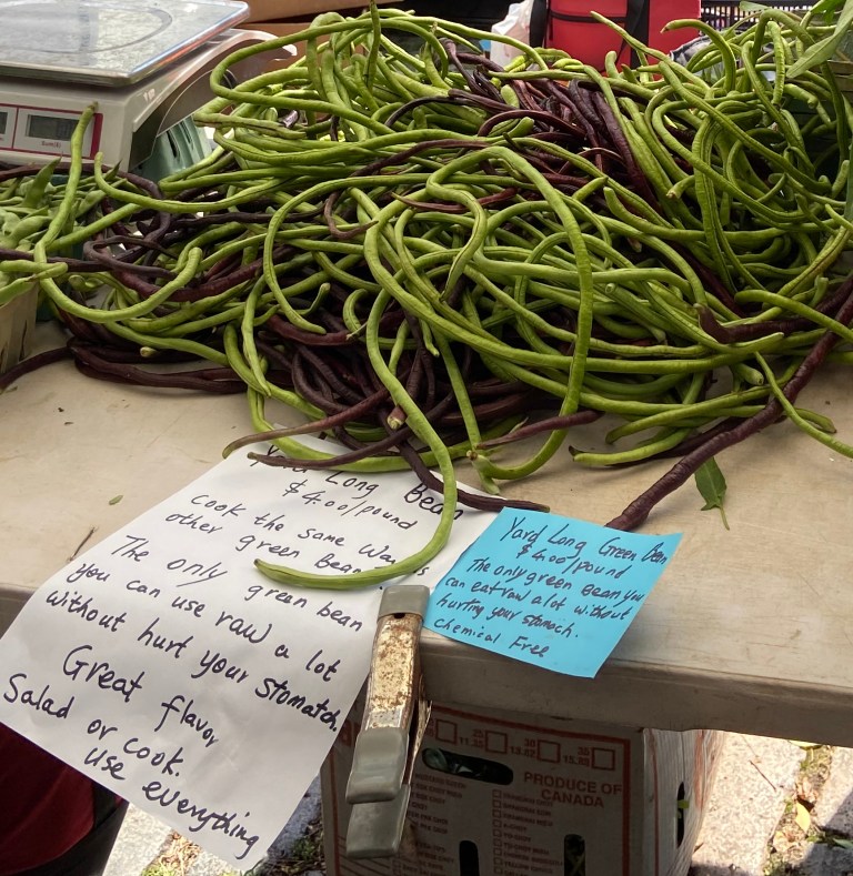 Bora: An Ode to the Long Green Bean – Cooking with Shindy